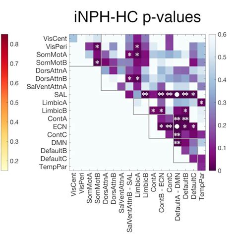 Resting‐state Network Connectivity In Inph Patients And Healthy Download Scientific Diagram