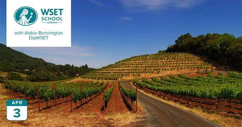 Sensational Sonoma Wine Tasting At Wset School London Wset School