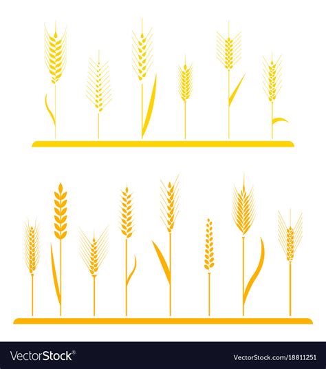 Wheat Field Background Royalty Free Vector Image