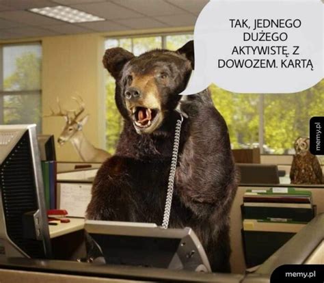 Zamówienie Memy pl