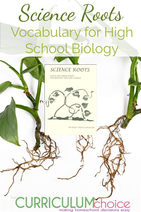Science Roots Vocabulary For High School Biology The Curriculum Choice