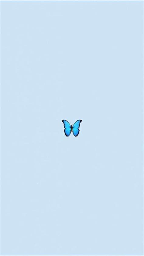 Blauer Süßer ästhetischer Schmetterling Hd Handy Hintergrundbild Pxfuel