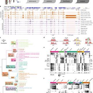 Application And Interpretation Of The Deep Learning Model Framework A