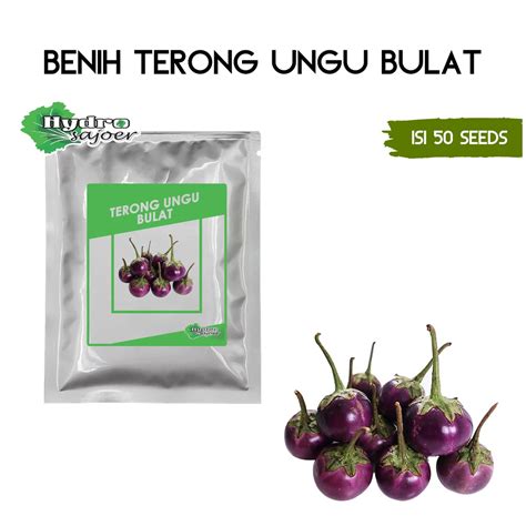 Jual Benih Terong Ungu Bulat Isi 50 Biji Shopee Indonesia
