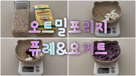 후기이유식ㅣ오트밀포리지 레시피ㅣ오트밀포리지 이유식ㅣ퓨레 요거트🍶 Youtube