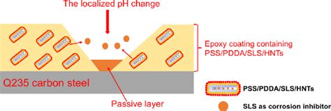 Schematic Representation Of Epoxy Coating Containing PSS PDDA SLS HNTs
