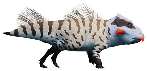 Leptoceratops Skeleton