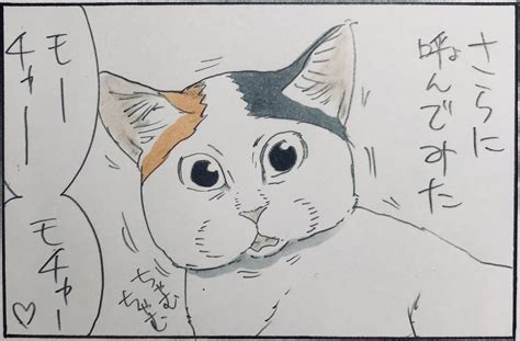 びっくりした』 」にごたろの漫画