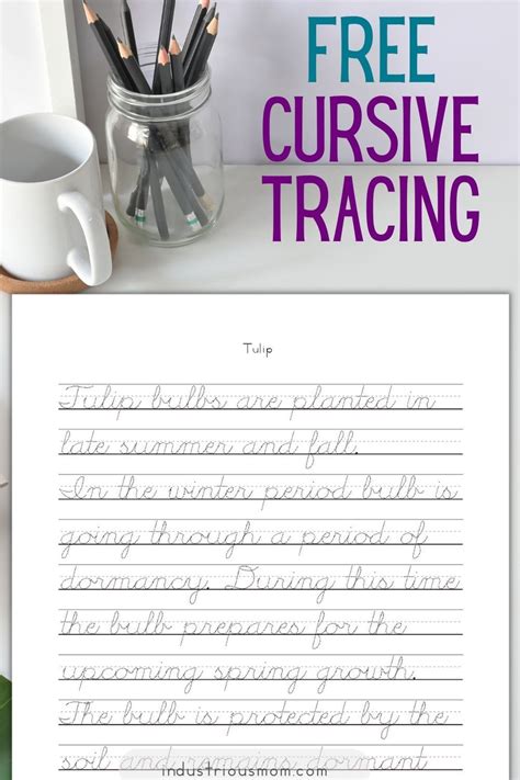 Free Cursive Tracing Pages For Teens And Adults Cursive Practice Sheets Cursive Letters