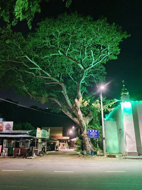 Emran Abu Bakar On Linkedin Last Night Whilst Waiting To Cross The Road I Was Mesmerized By This…