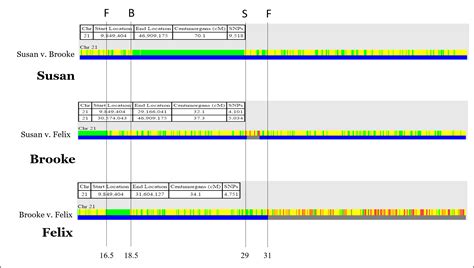 Visual Phasing An Example Part 2 Of 5 The Genetic Genealogist