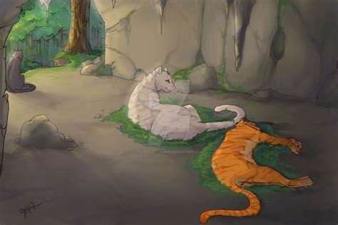 Коты воители палатки Zefirka Club фото и картинки