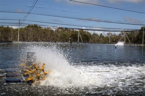 Tapping Into Water Monitoring With Vesi™ Sensor Technology Csiro