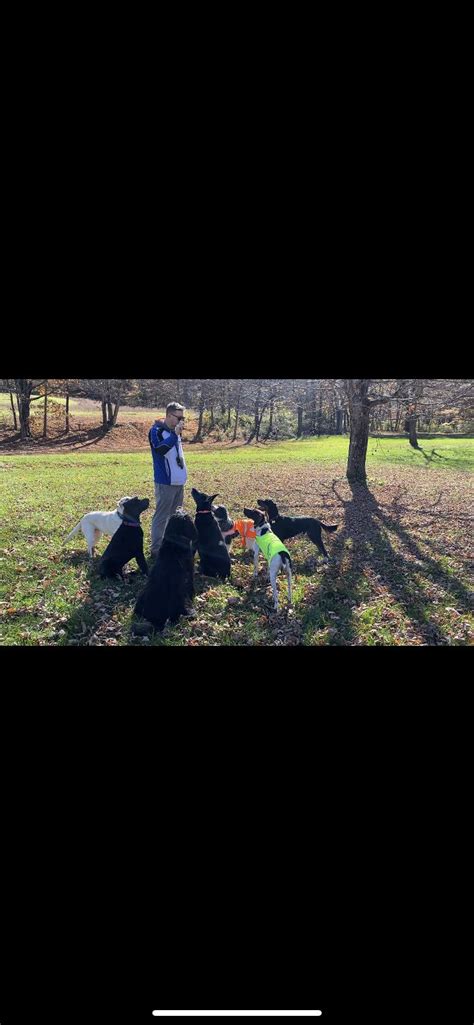 The Kitty Galore Added A New Photo The Kitty Galore