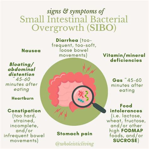 What Is Small Intestinal Bacterial Overgrowth Sibo And How Do You