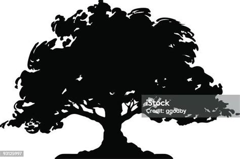 Tree Silhouette向量圖形及更多橡樹圖片 橡樹 樹 側影 Istock
