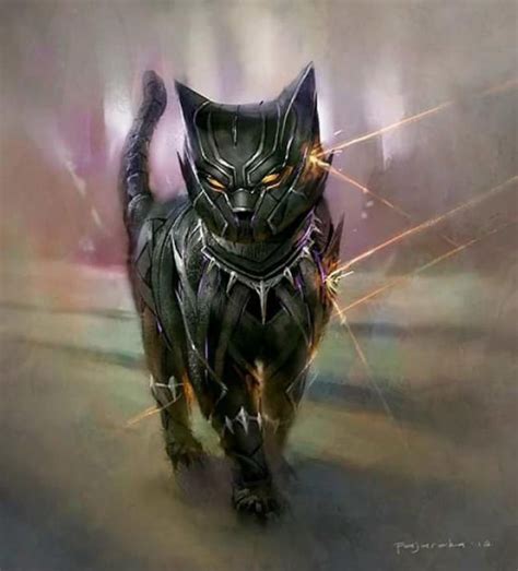 Pantera Negra Gato Black Phanter Cat 7 Imagens De Super Heróis