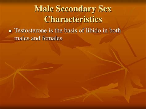 Ppt Brain Testicular Axis Powerpoint Presentation Free Download Id