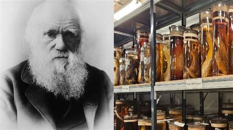 What Happened When Scientists Fired Lasers At Darwins 200 Year Old
