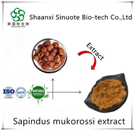 Sapindus Mukorossi Extract Used In Daily Cleaning Supplies Soapnut
