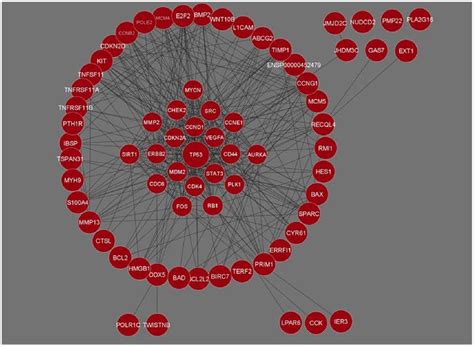 Gene Interaction Network Of Osteosarcoma Comprising 71 Genes And 426 Download Scientific