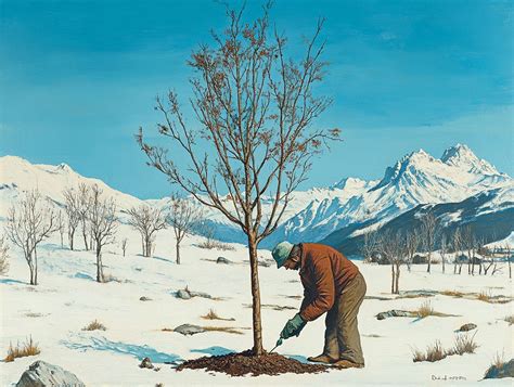 The Best Season For Planting Trees In Cold Areas Frost Grow