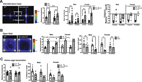 Microglia Depletion Ameliorates Neuroinflammation Anxiety Like