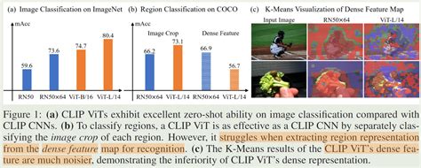 Clipself Vision Transformer Distills Itself For Open Vocabulary Dense Prediction 小记 知乎