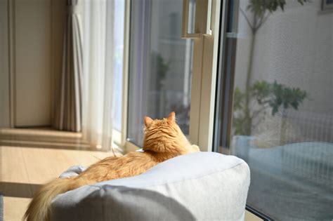 原状回復の借主負担はどこまで？負担範囲や相場をわかりやすく解説 リクロスコーポレーション