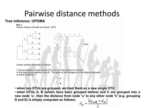 Phylogenetic Tree Construction Pptx