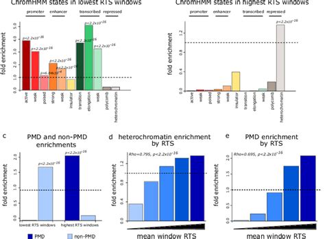 Heterochromatin Possesses Heterogeneous Methylation Patterns Ab