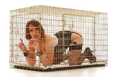 Comment Traiter Une Femelle Porn Pictures Xxx Photos Sex Images