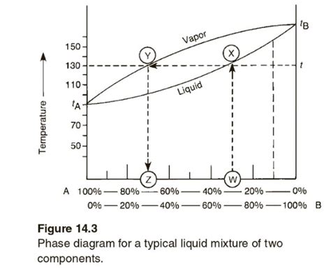 Solved Sketch The Phase Diagram For A Two Component Chegg
