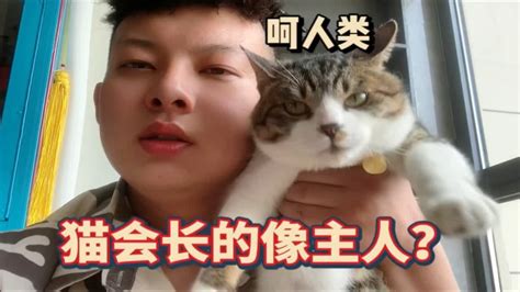 听说猫会长的越来越像主人 Youtube
