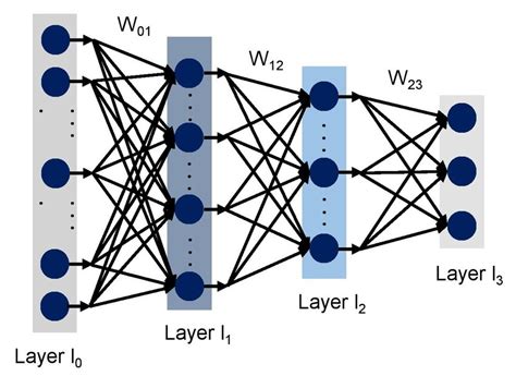 schematic representation of the densely connected layers download