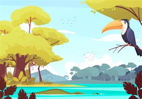 ᐈ Selva Tropical Dibujos De Stock Imágenes Dibujo Selva Tropical