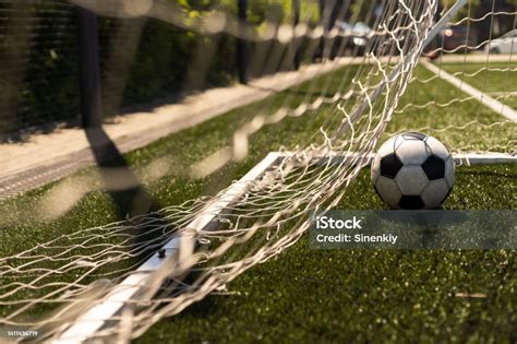 녹색 잔디와 경기장 배경에 흰색과 검은 색 축구 공 스포츠 베팅 아이디어 0명에 대한 스톡 사진 및 기타 이미지 0명 가죽