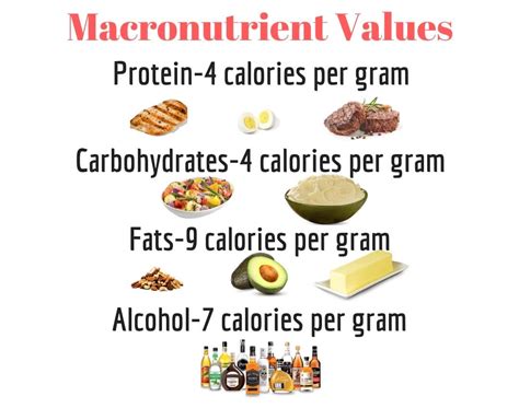 What Are Macros And Why Do They Matter Marc Z Fitness And Nutrition