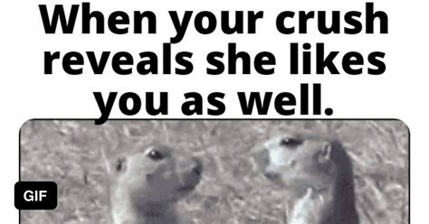 Best Feeling Ever Gag