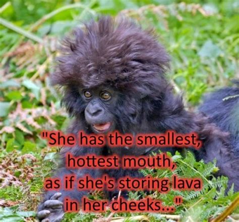 7 Horrific Sentences From This Years Bad Sex In Fiction Nominees