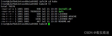 Linux 安装ipfs —— Ipfs环境配置 Checker Ipfs Csdn博客