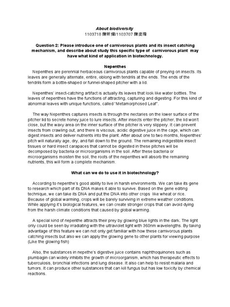 assignment 3 pdf pdf