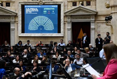 Diputados Aprobó Crear Un Registro De Deudores Alimentarios Y Alivio En