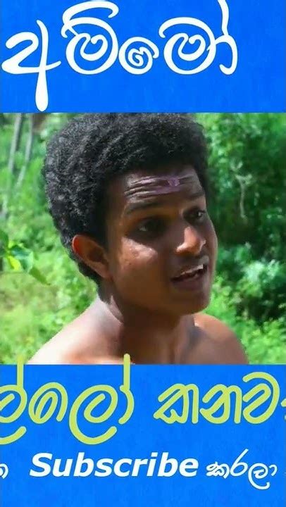 බල්ලො ඉන්නවද 😁 Youtube