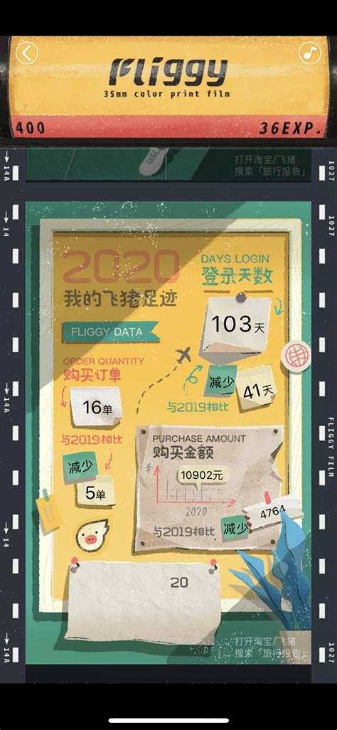 飞猪年度报告