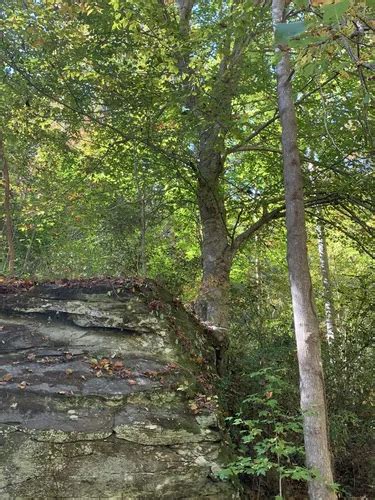 Best Hikes And Trails In Toccoa Falls Alltrails