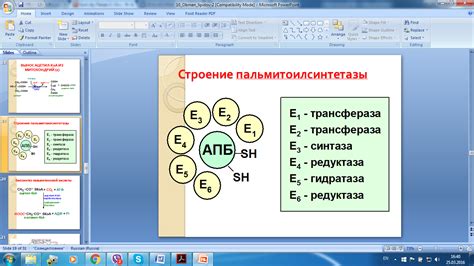 Биосинтез жирных кислот химизм ферменты