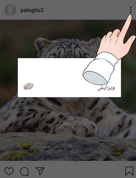 آموزش روبینو به صورت کامل و تصویری روبینو روبیکا