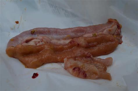 Mucormicosis Intestinal Aviar Veterinaria Digital Avicultura