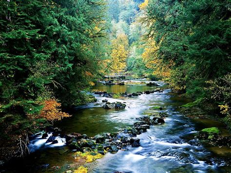 Stream Background Rivers And Streams HD Wallpaper Pxfuel